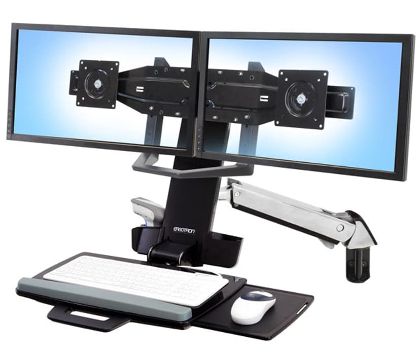 Ergotron Dual Monitor Arm With Pivot Black (97-718-009)