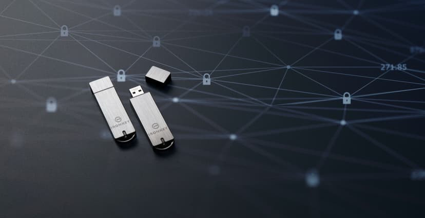 Kingston Ironkey Basic S1000 128GB USB Type-A Sølv (IKS1000B/128GB)