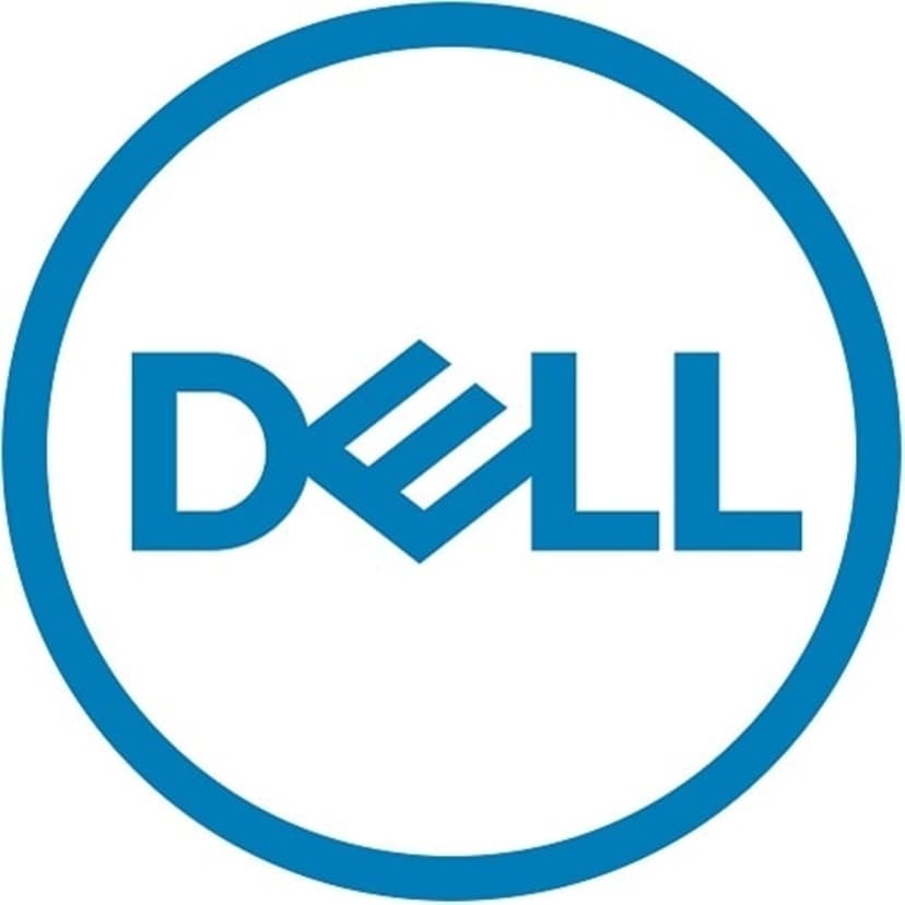 Dell 461-AAEN Trusted Platform Module (TPM) -moduuli 2.0 (461-AAEN)