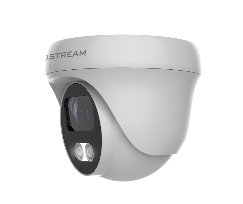 Grandstream GSC3610 Outdoor IP67 Dome Camera (GSC3610)