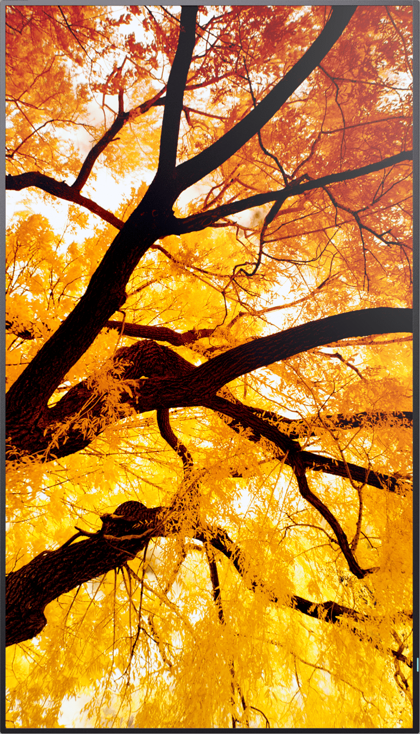 Sharp MultiSync M752 74.5" IPS 550cd/m² 3840 × 2160pixels (60006057)